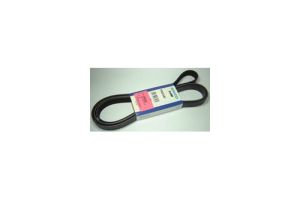Drive Belt Discovery Ser11 V8 ERR6898
